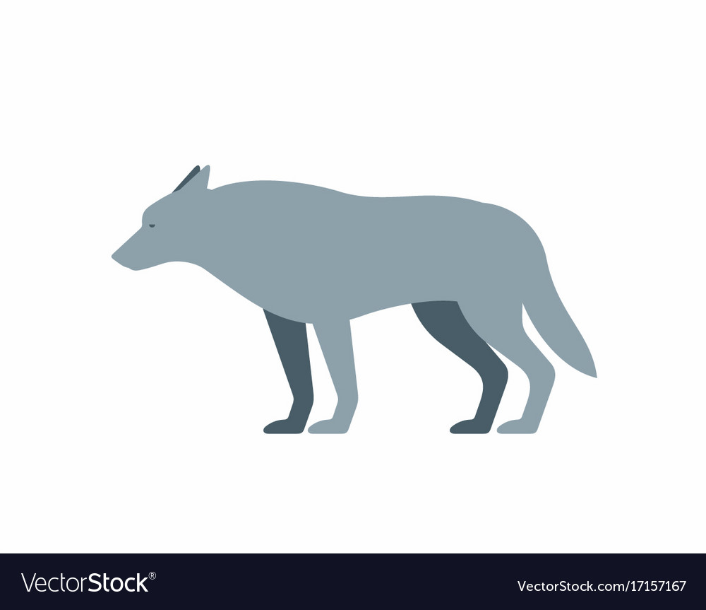 Wolf Royalty Free Vector Image - VectorStock