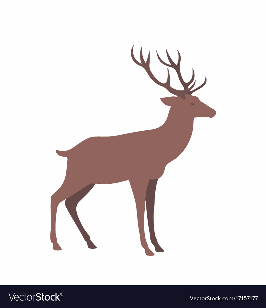 Deer Royalty Free Vector Image - VectorStock