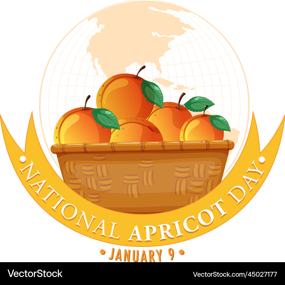 National apricot day poster design Royalty Free Vector Image