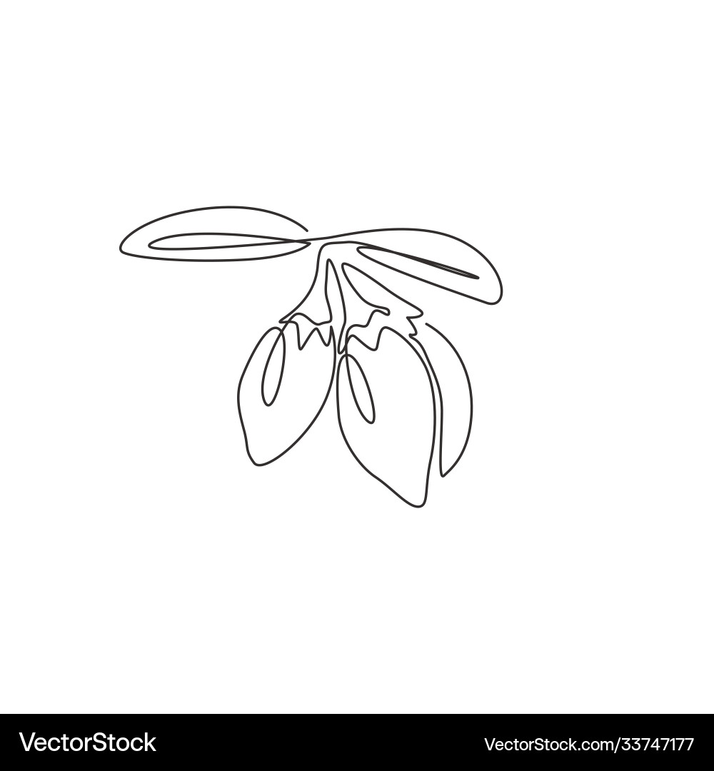 One single line drawing pile healthy organic Vector Image