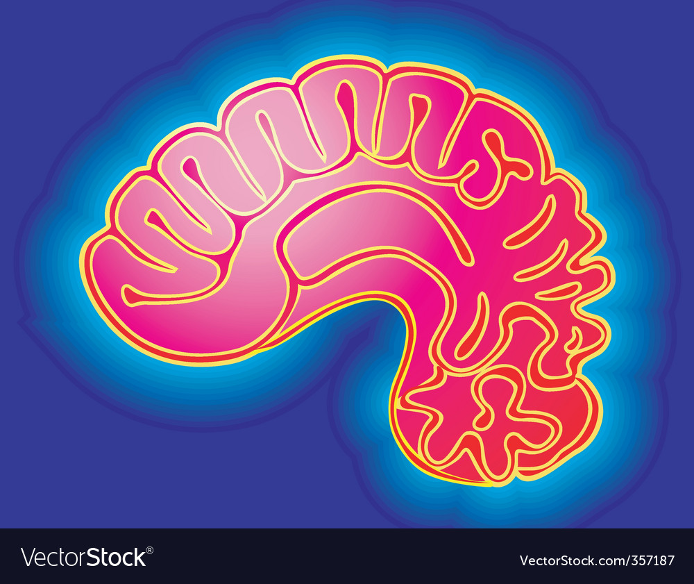 Brain Royalty Free Vector Image - VectorStock