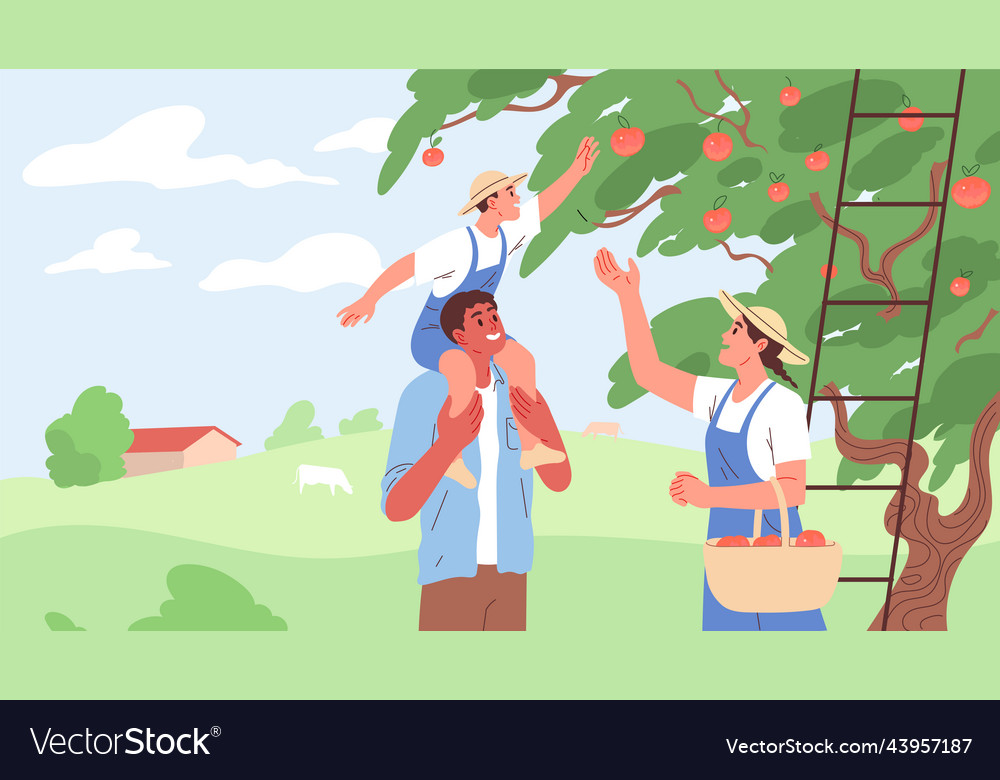 Family in orchard picking apples farmers Vector Image