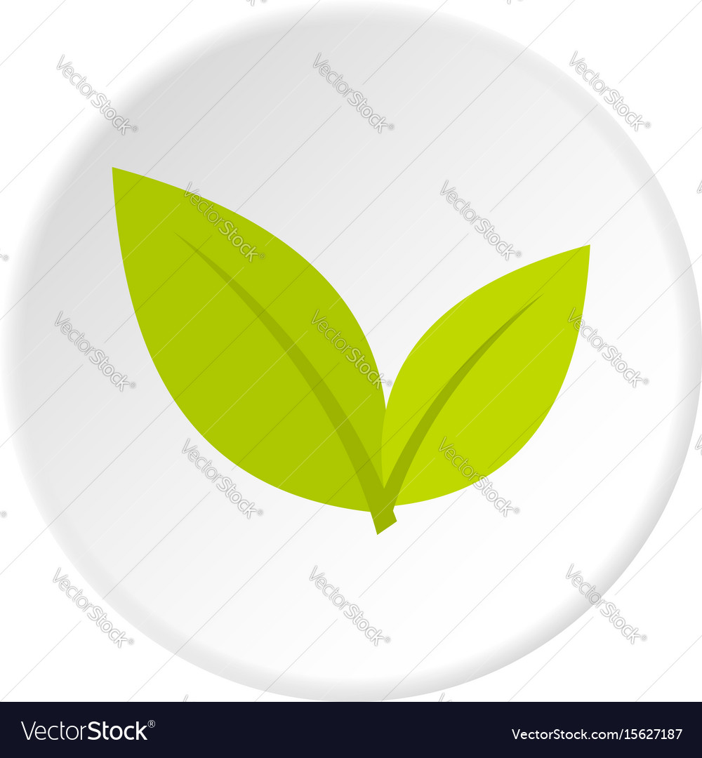 Leaf icon circle Royalty Free Vector Image - VectorStock