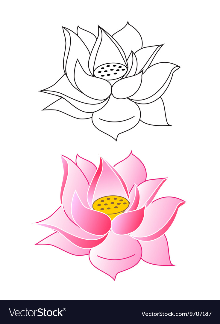 Lotus Royalty Free Vector Image - VectorStock