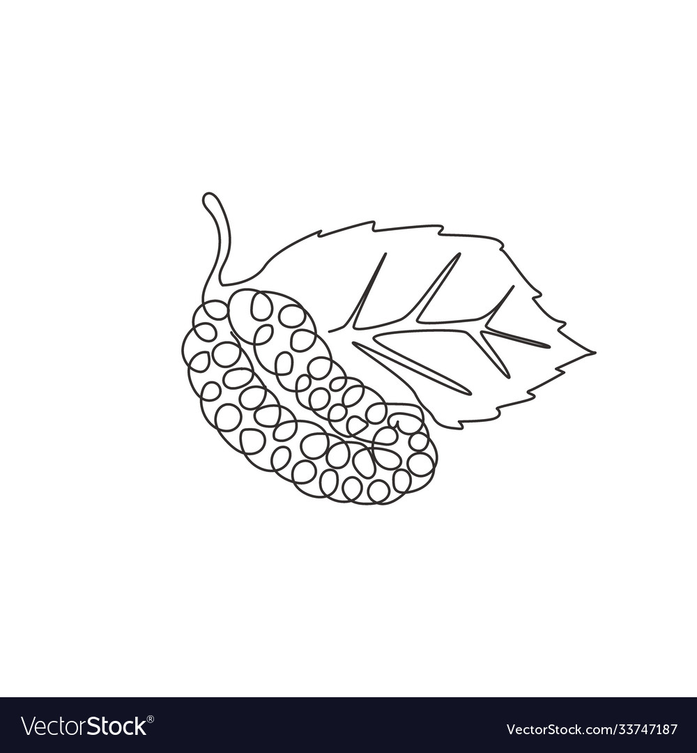 Single continuous line drawing whole healthy Vector Image Single continuous line drawing whole healthy Vector Image
