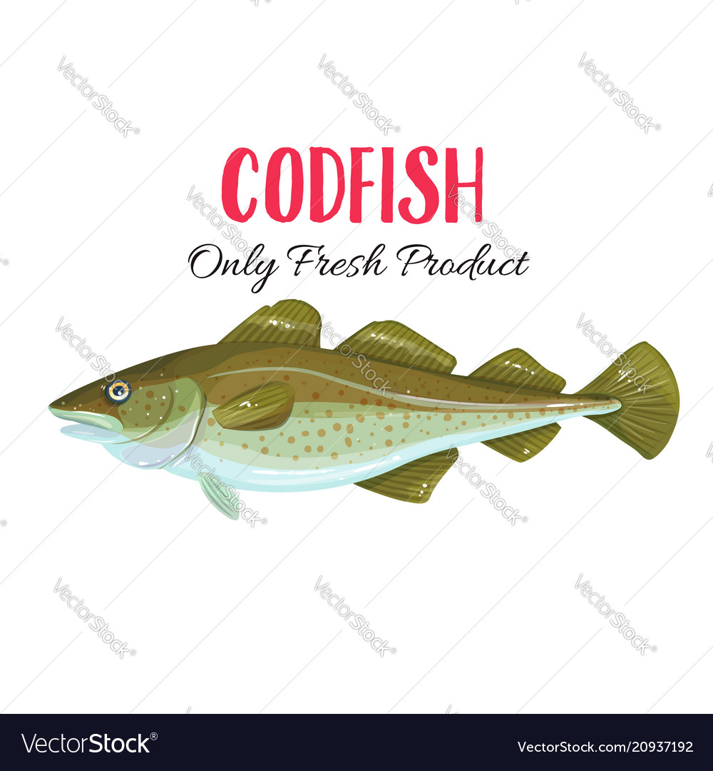 Codfish Royalty Free Vector Image - VectorStock