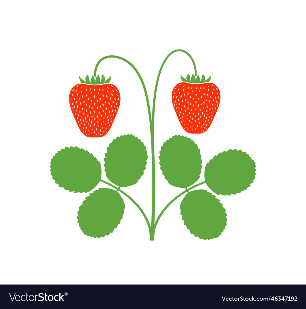 Strawberry Royalty Free Vector Image - VectorStock
