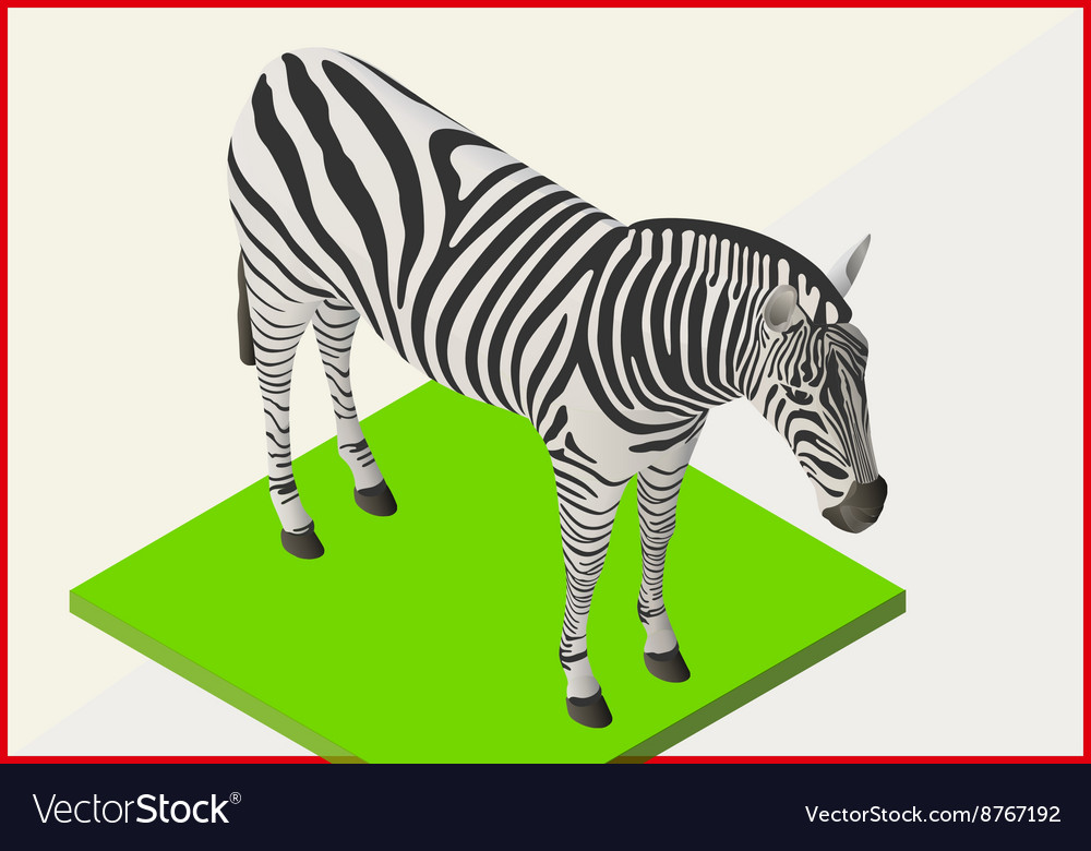 Zebra flat isometric 3d Royalty Free Vector Image