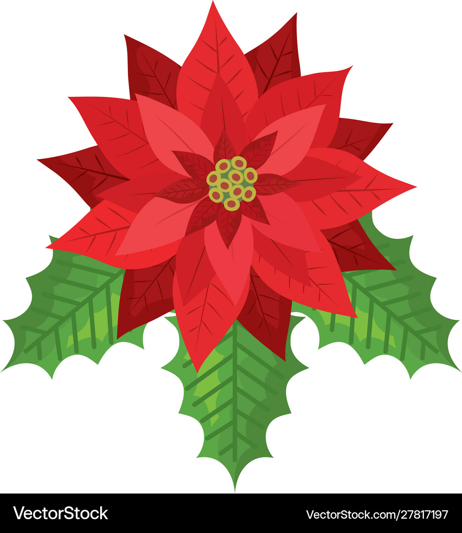 Leafs with flower christmas isolated icon Vector Image