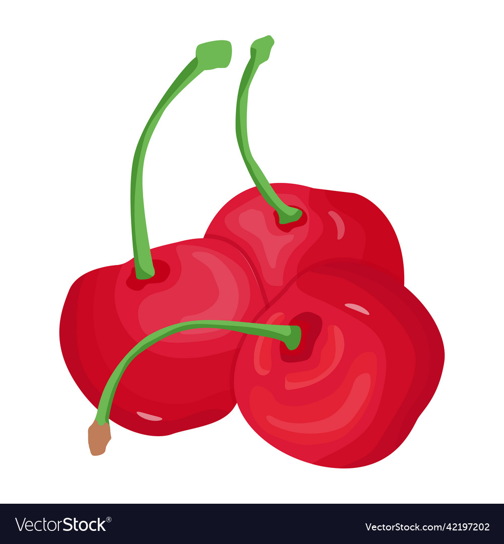 Cherries Royalty Free Vector Image - VectorStock