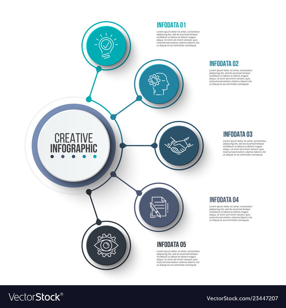 Circle business graphic elements process Vector Image