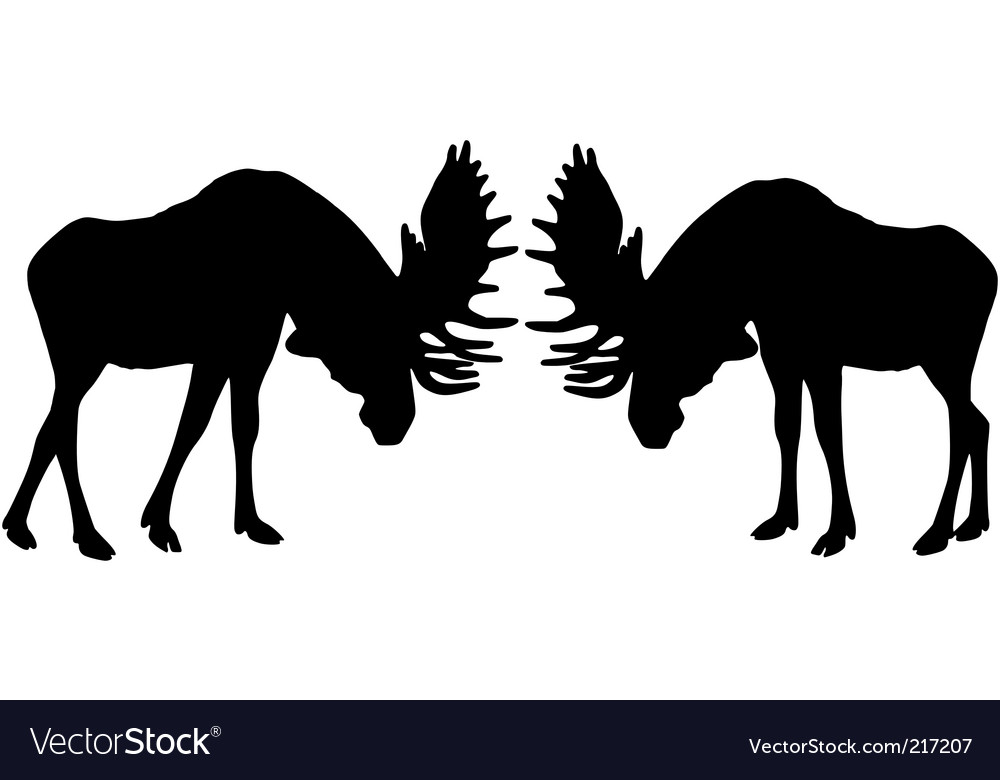 Moose Royalty Free Vector Image - VectorStock