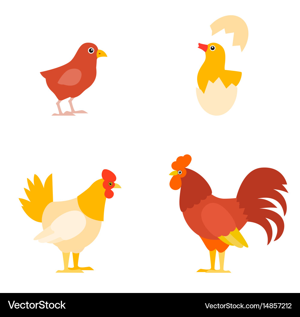 A colorful farm birds collection Royalty Free Vector Image