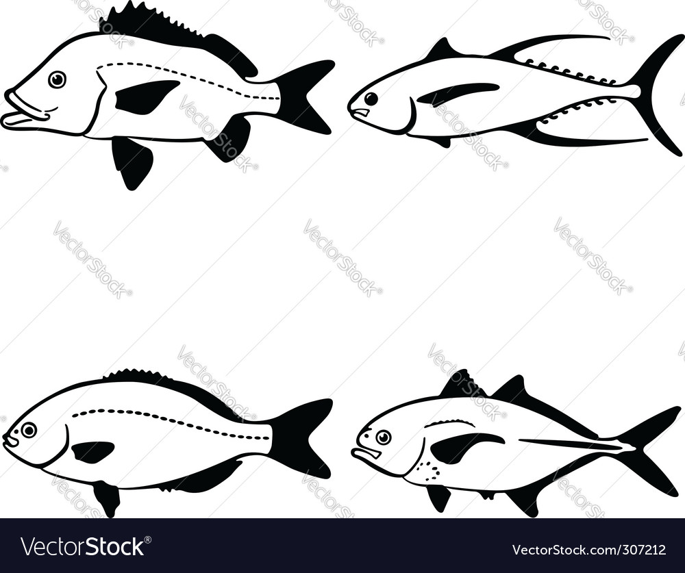 Fish Royalty Free Vector Image - VectorStock