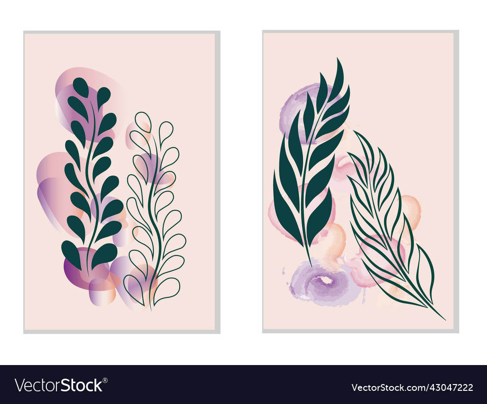 Botanical set Royalty Free Vector Image - VectorStock