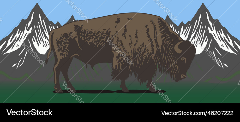 Powerful big brown buffalo or bison grazes Vector Image