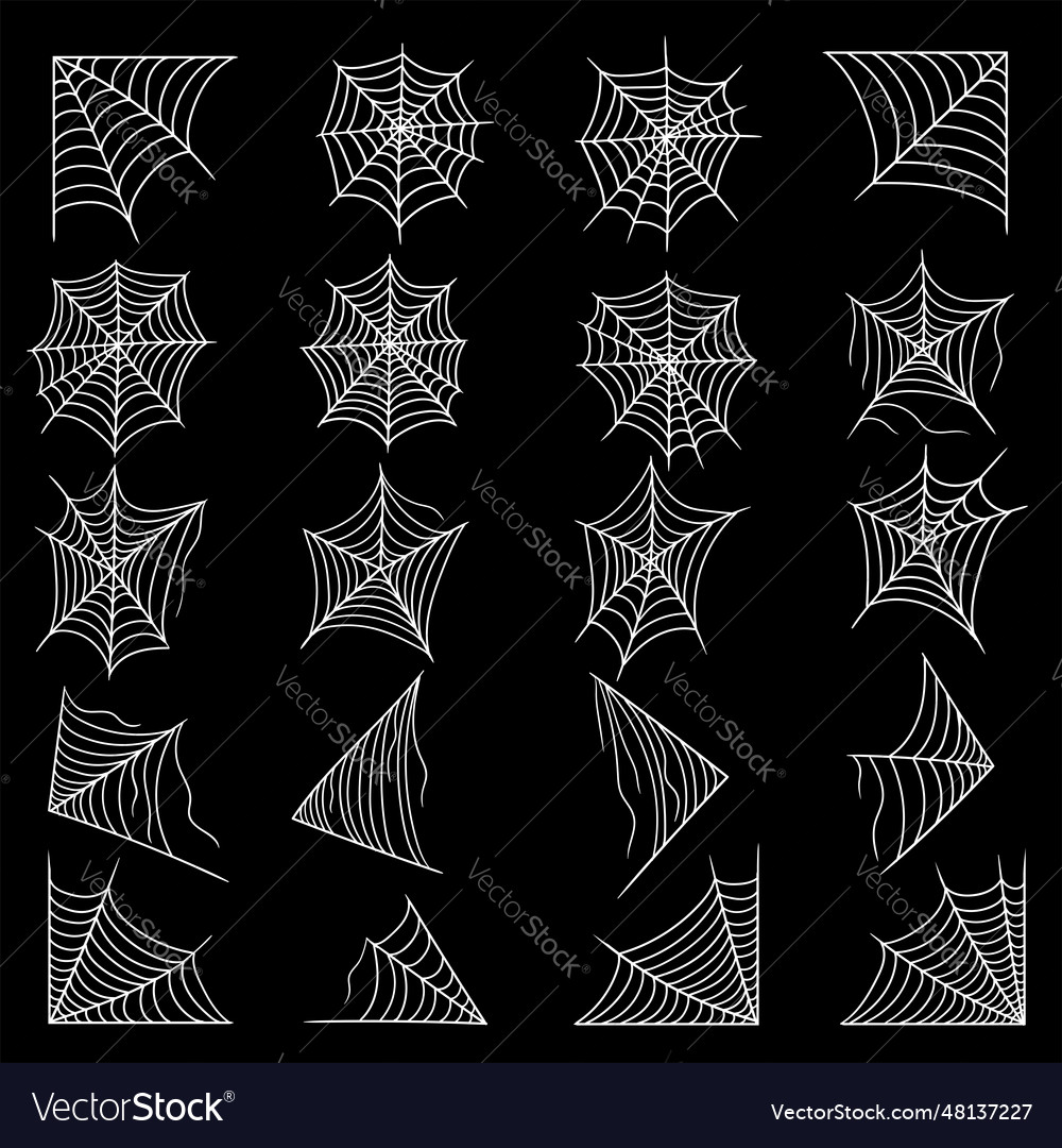 Cobweb spider element Royalty Free Vector Image