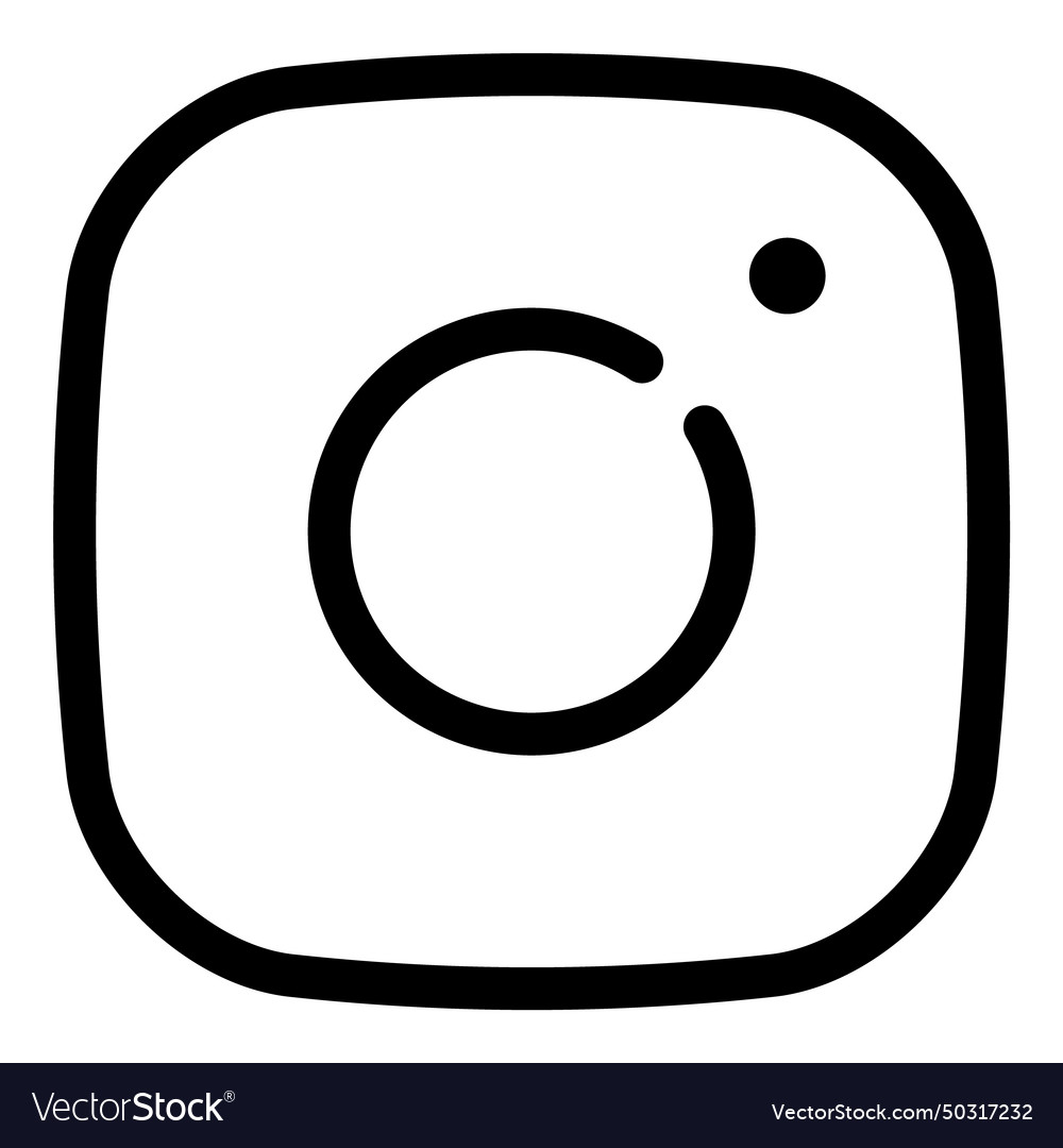 Instagram camera button flat icon isolated Vector Image