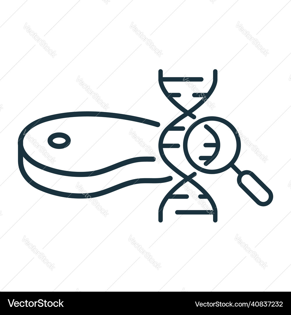 Research of gene modified meat line icon Vector Image