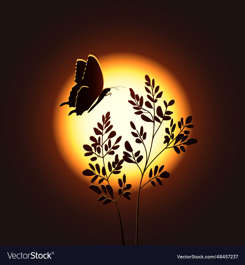 Sunset Royalty Free Vector Image - VectorStock