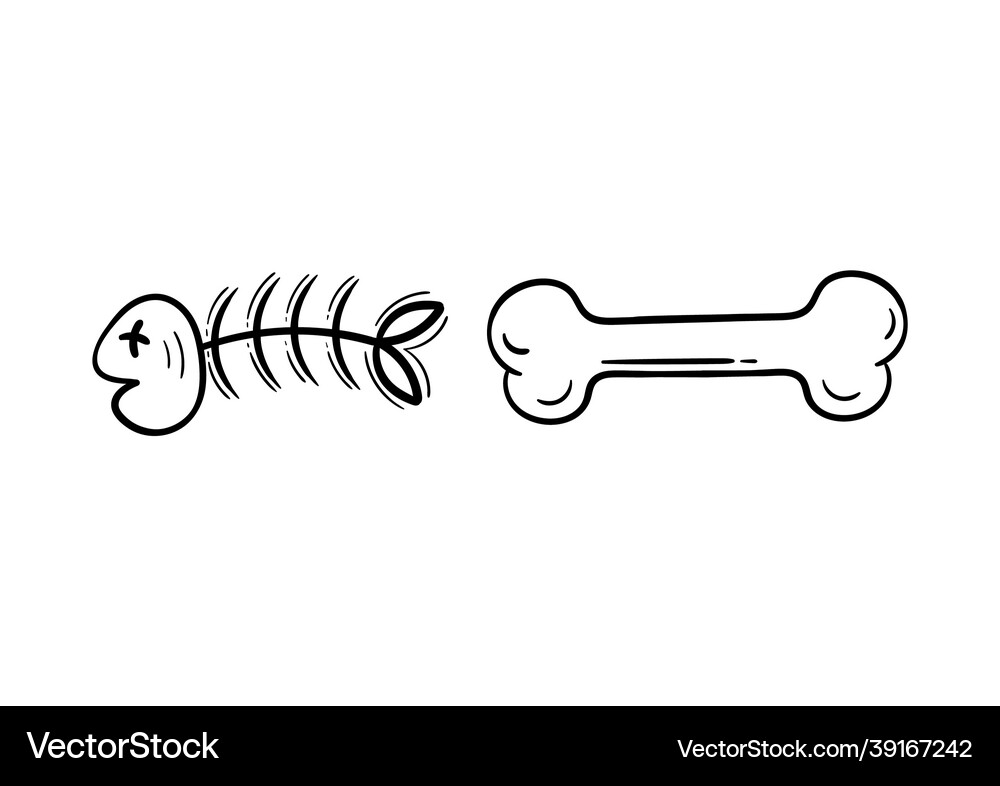 Hand drawn of fish bones and bones Royalty Free Vector Image
