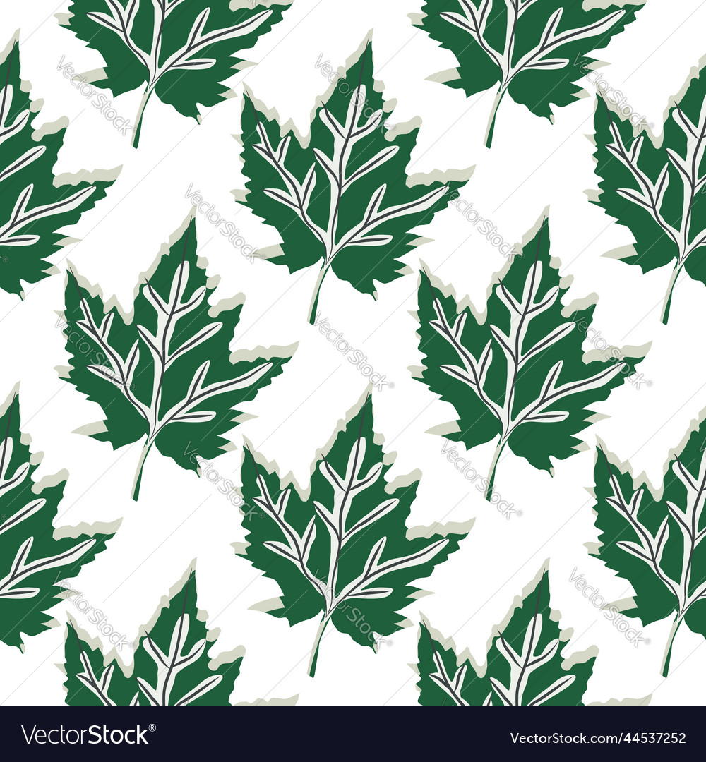 Abstract oak leaves seamless pattern maple Vector Image