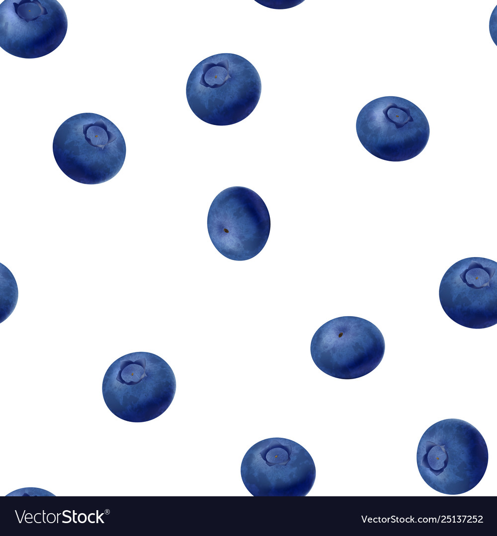 Seamless blueberries pattern 3d realistic Vector Image