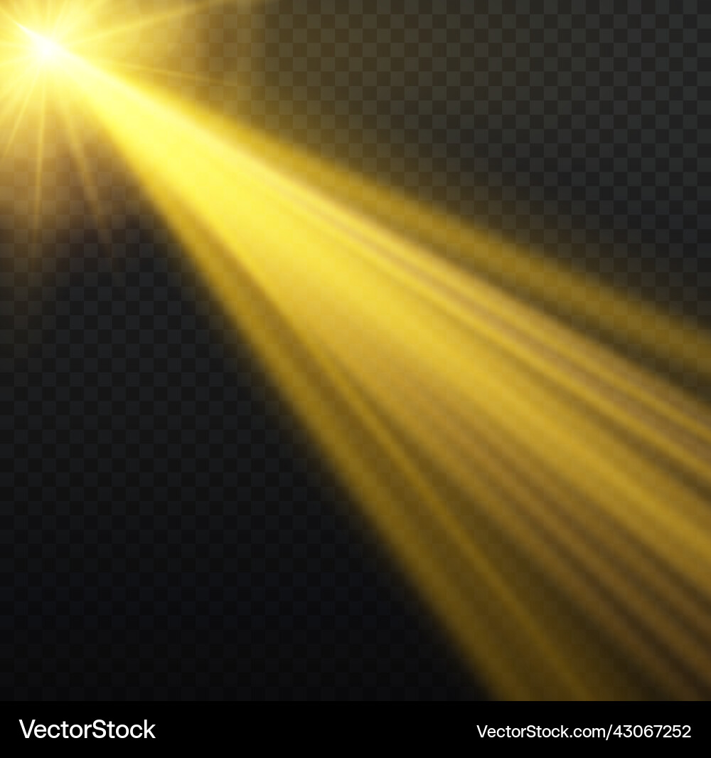 Sunlight yellow sun glare rays lens flare bokeh Vector Image