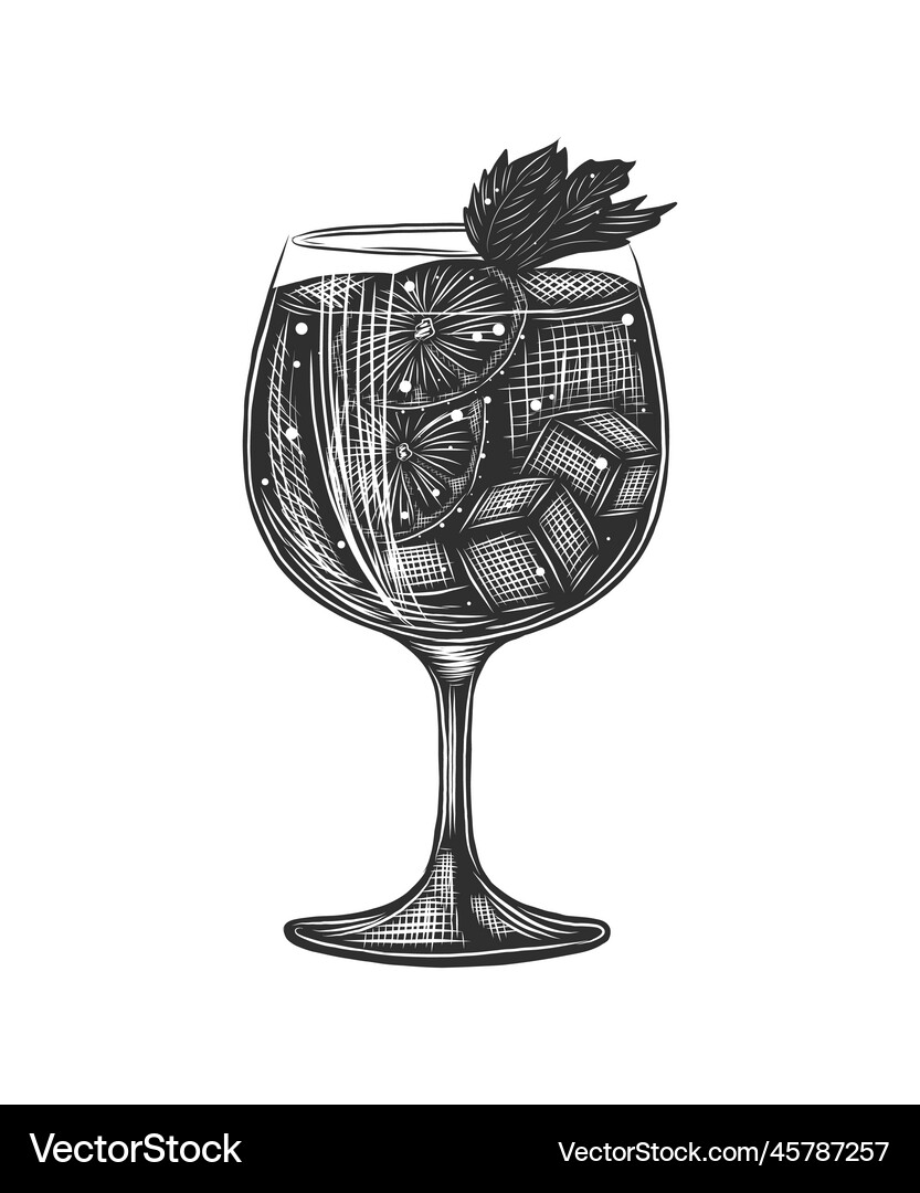 Engraved style gin tonic alcoholic cocktail Vector Image