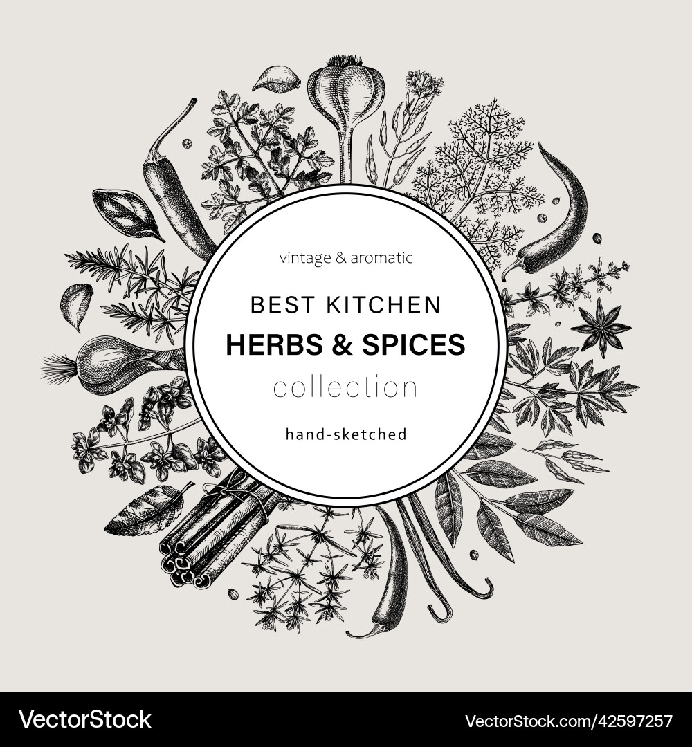 Hand-drawn herbs and spices round design Vector Image