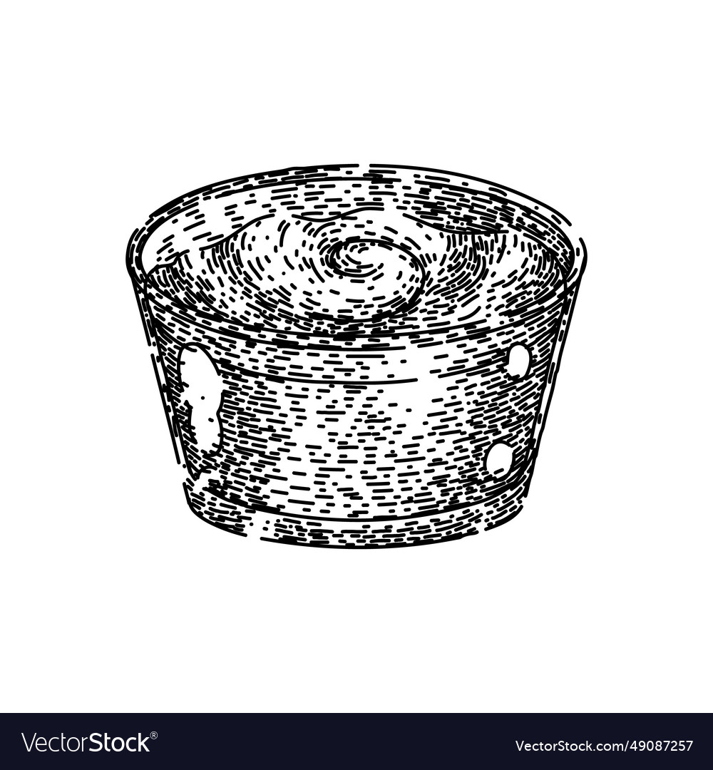 India curry sketch hand drawn Royalty Free Vector Image India curry sketch hand drawn Royalty Free Vector Image