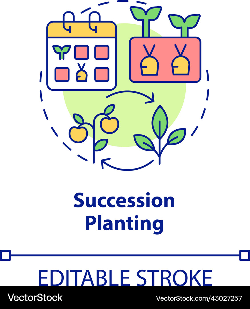 Succession planting concept icon Royalty Free Vector Image