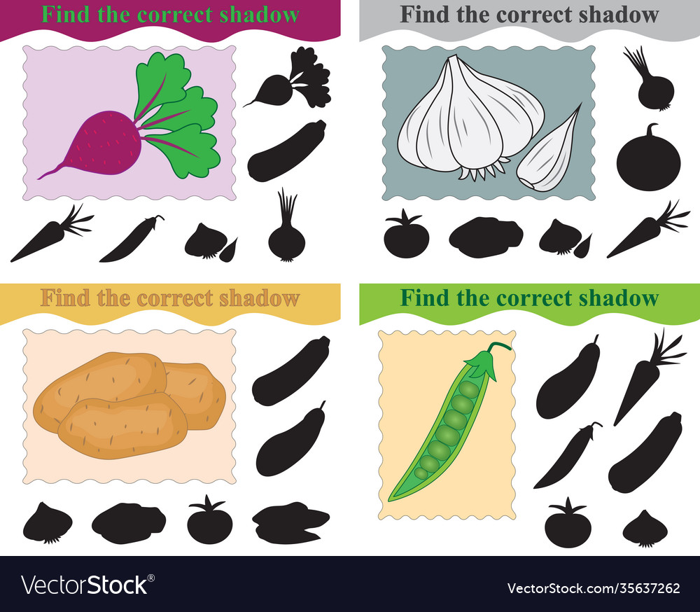 Find correct shadow vegetables set Royalty Free Vector Image