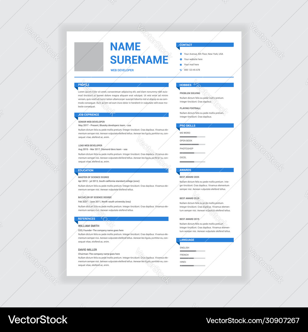 Minimalist professional resume template design Vector Image
