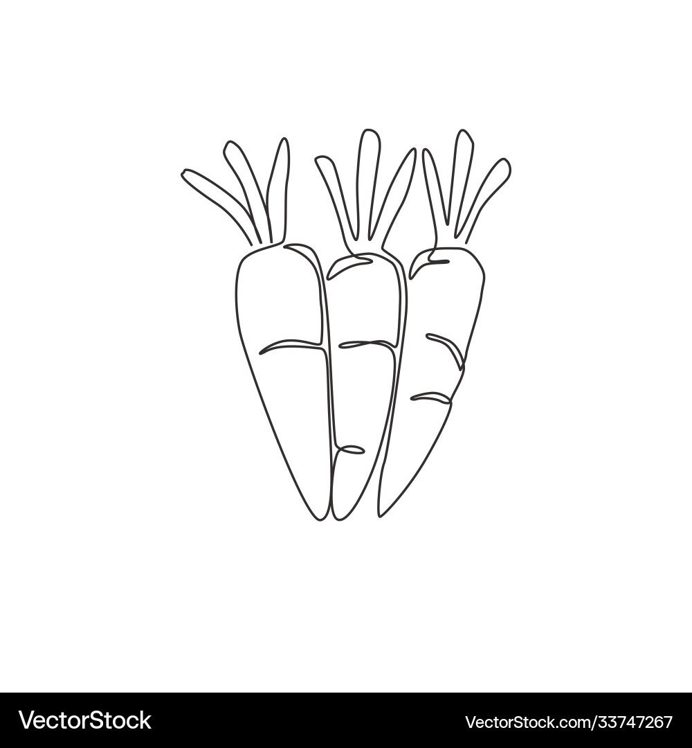 One single line drawing whole healthy organic Vector Image