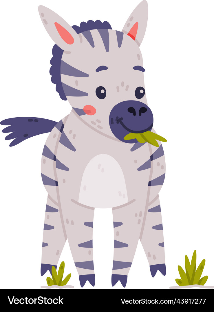Funny zebra with black-and-white striped coat Vector Image