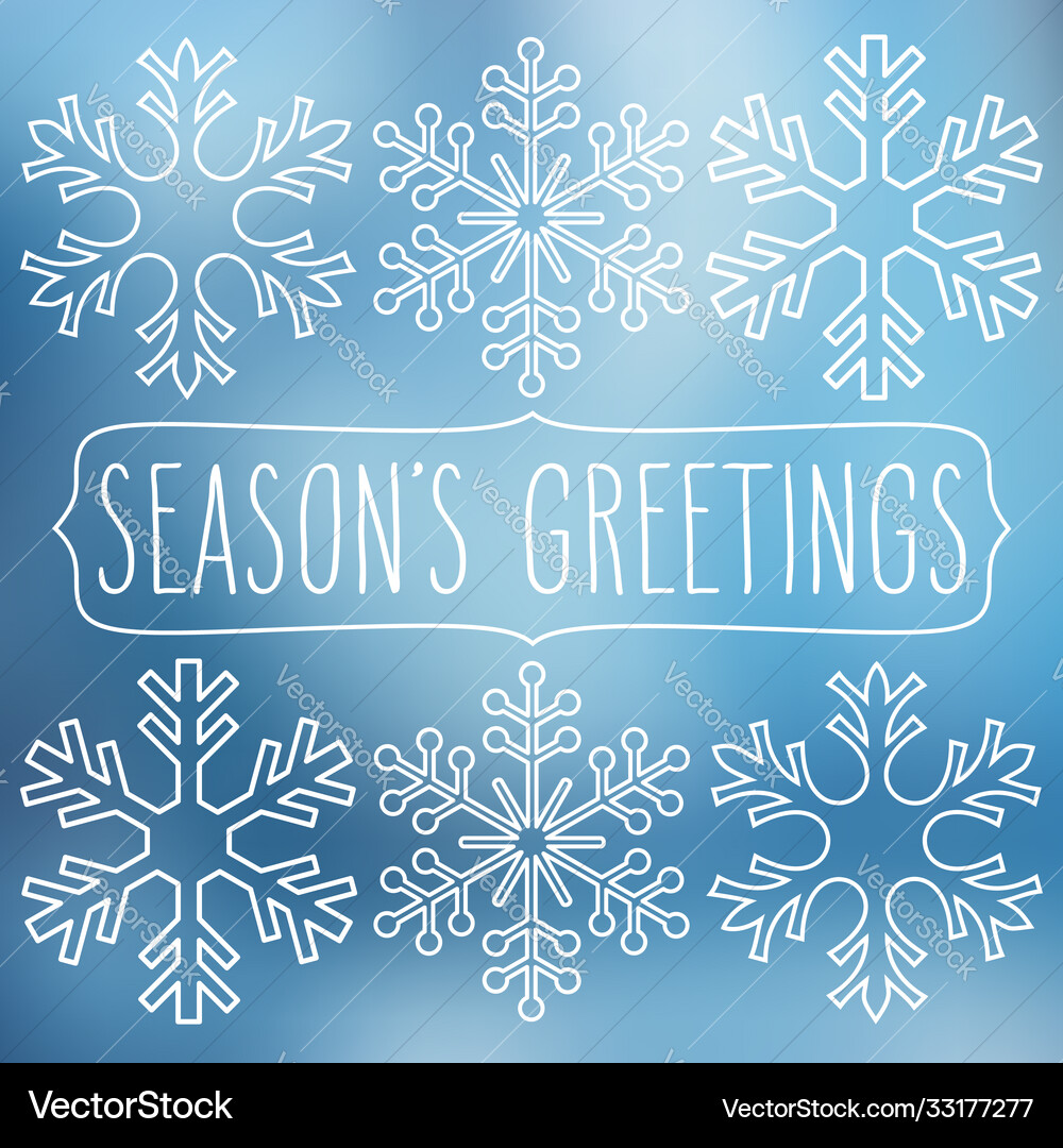 Snowflakes and seasons greetings Royalty Free Vector Image