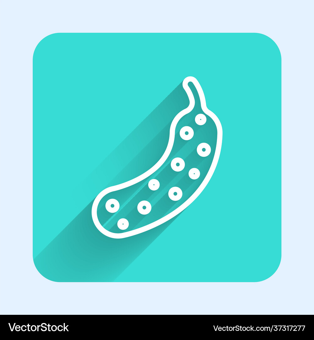 White line fresh cucumber icon isolated with long Vector Image