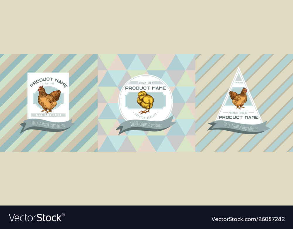 Three colored labels with chicken Royalty Free Vector Image