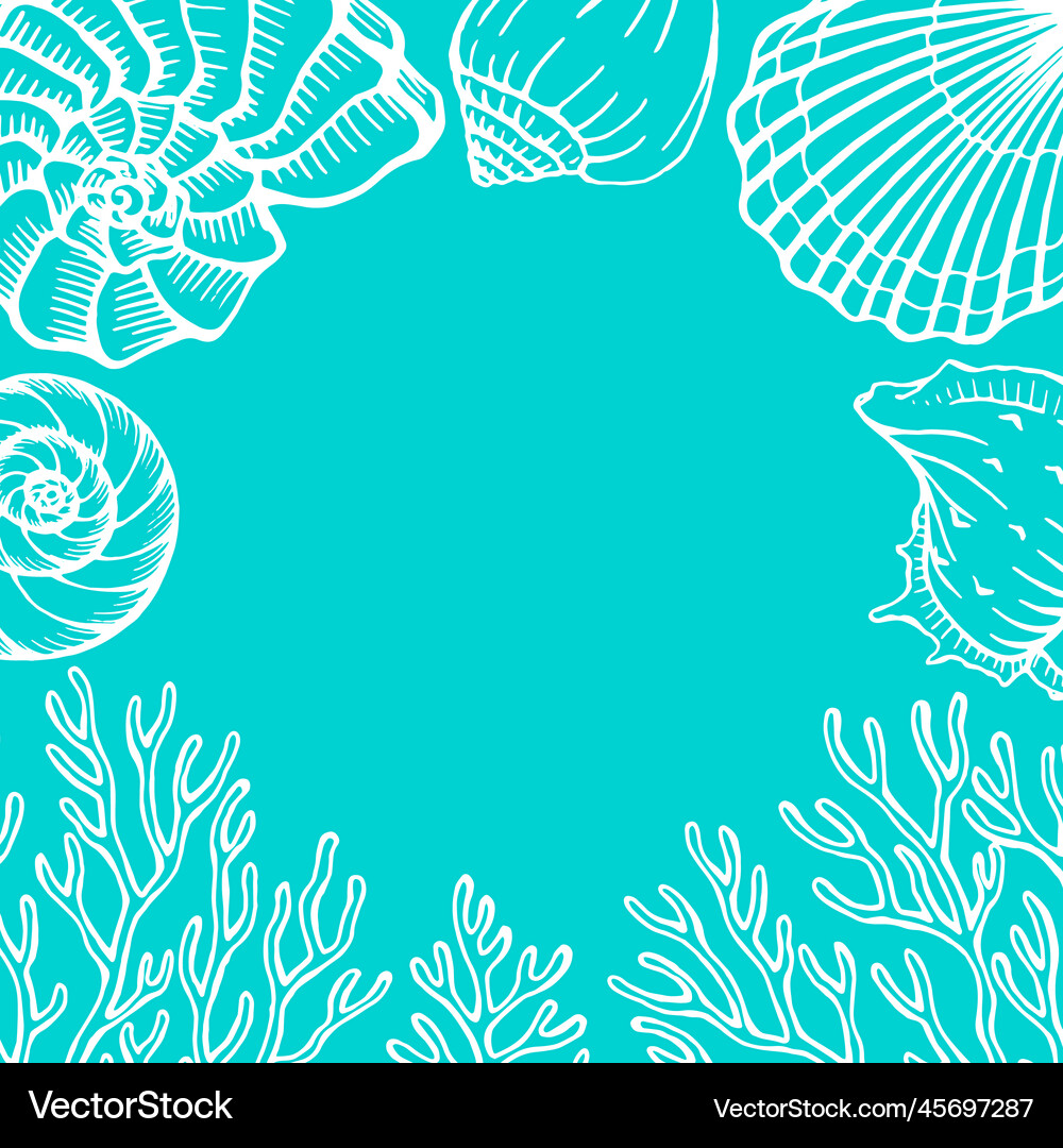 Seashells and coral frame sea ocean design Vector Image