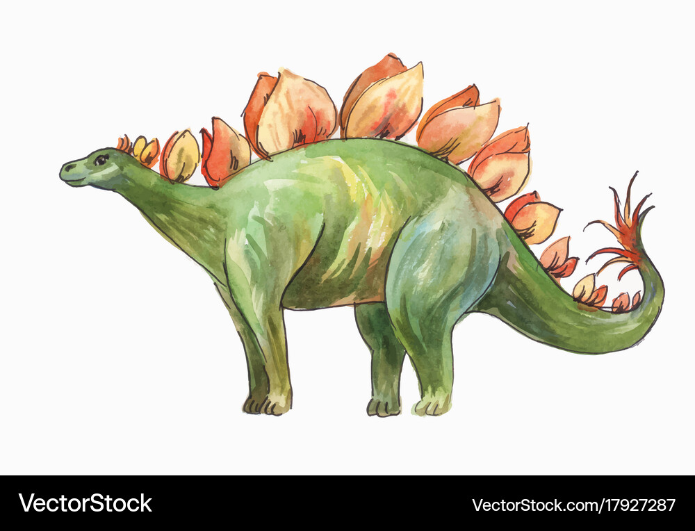 Stegosaurus watercolor drawing Royalty Free Vector Image