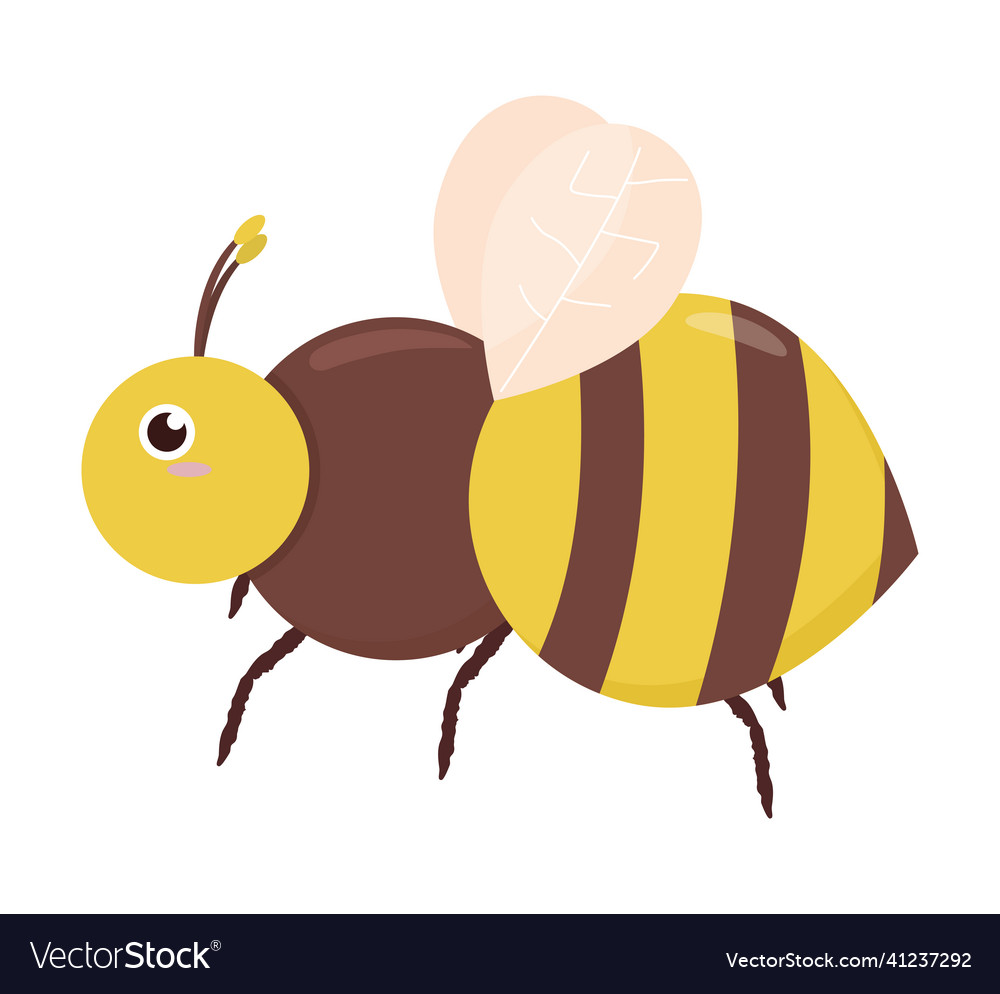Colored bee design Royalty Free Vector Image - VectorStock