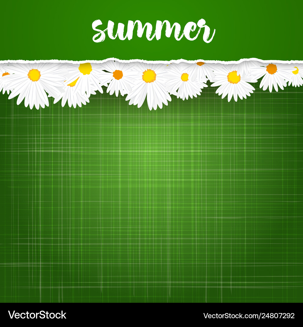 Summer time banner with floral frame on canvas Vector Image