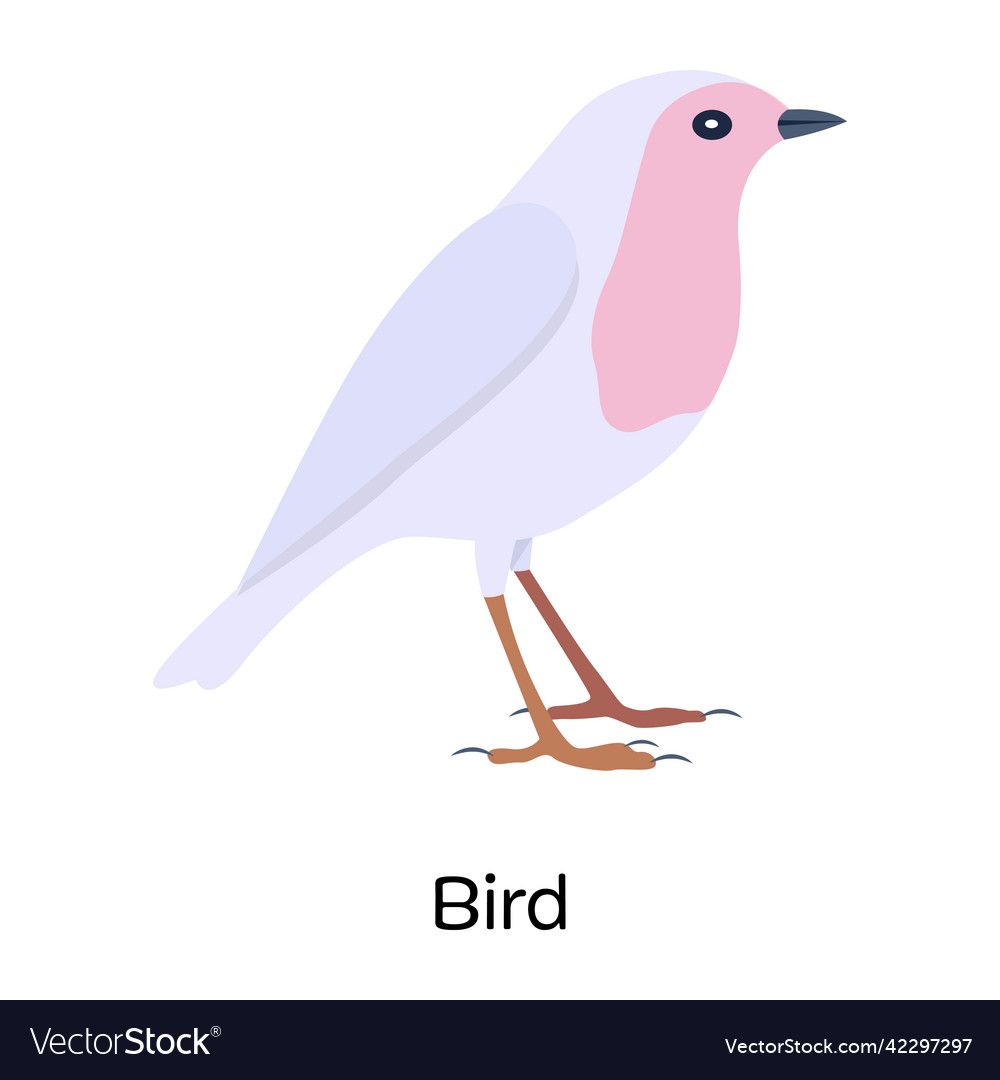 Bird Royalty Free Vector Image - VectorStock