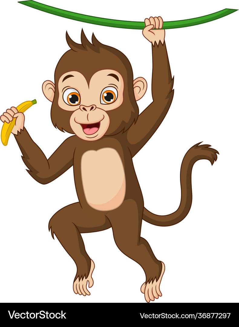 Cute baby monkey hanging on tree branch monkey ho Vector Image