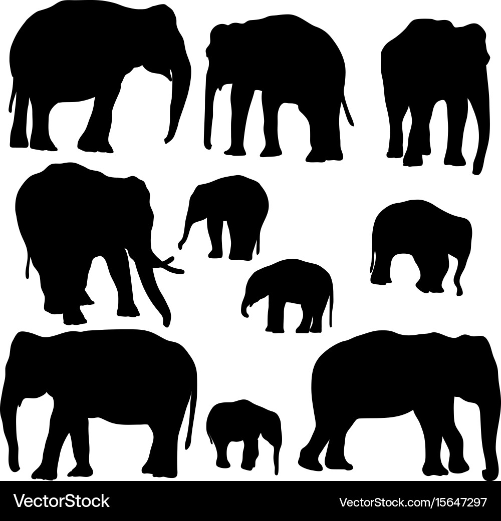 Set of elephants Royalty Free Vector Image - VectorStock