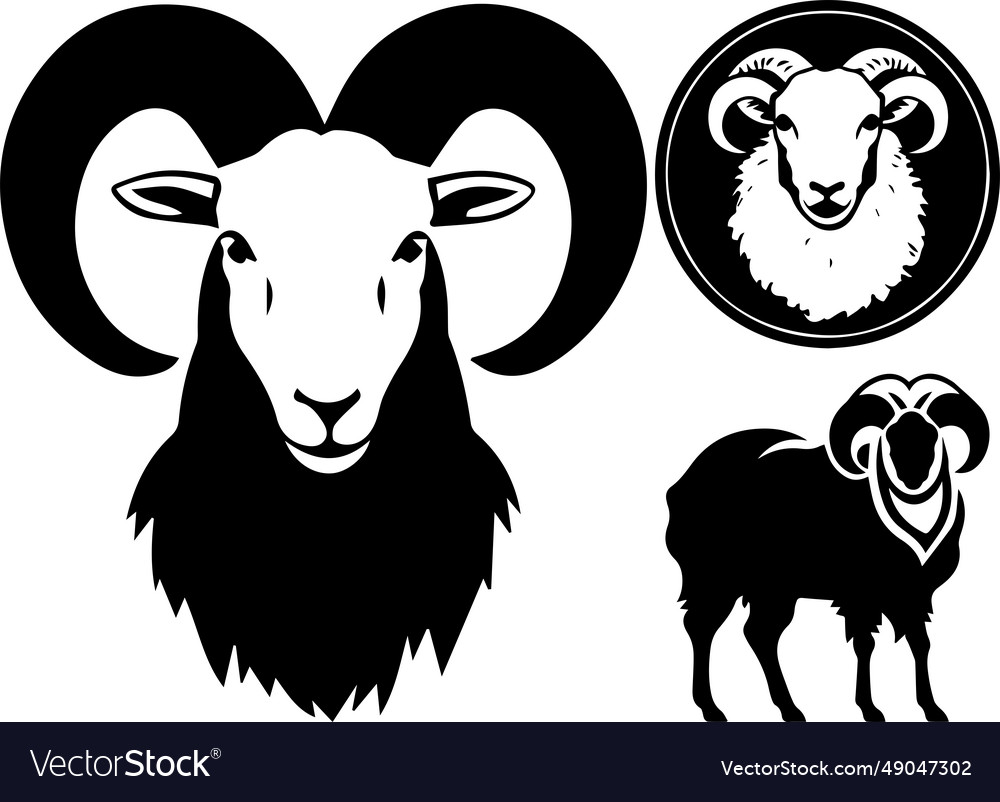 A sheep Royalty Free Vector Image - VectorStock