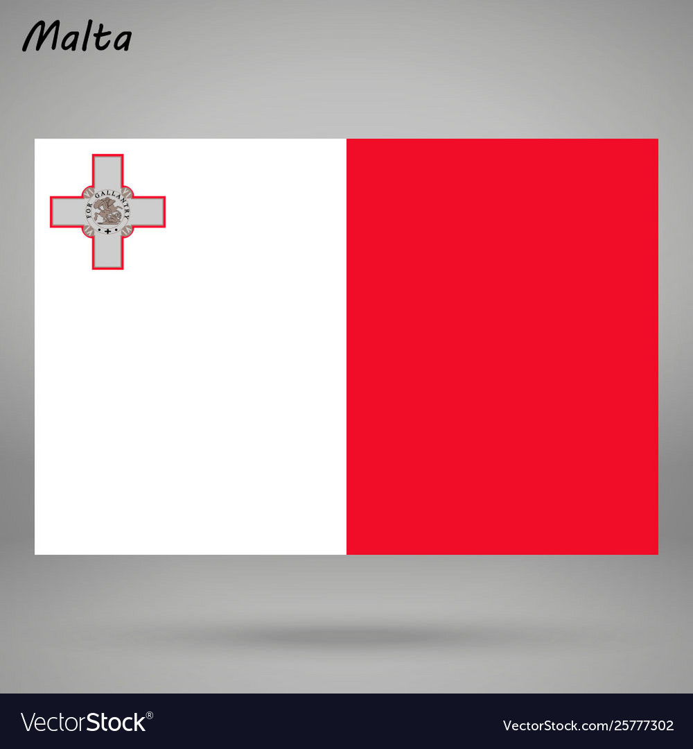 Simple flag isolated Royalty Free Vector Image