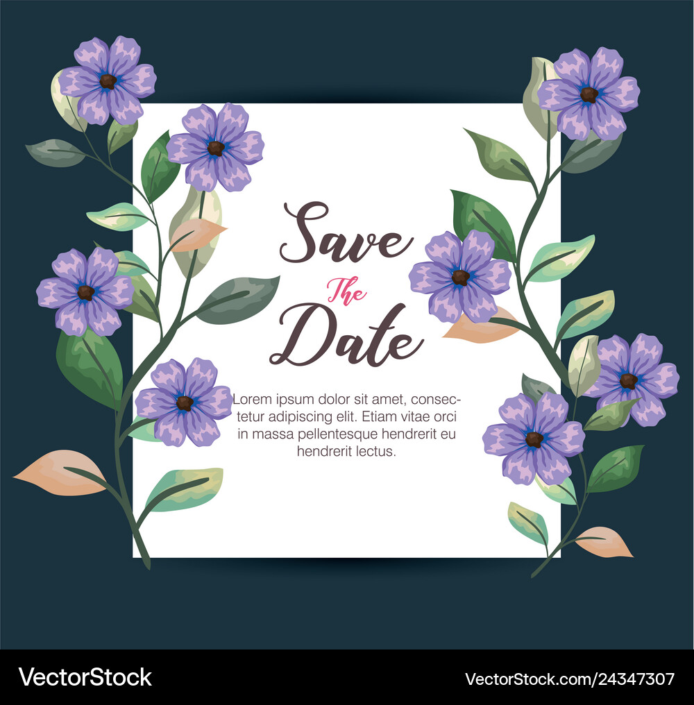 Botanic card with tropical flowers plants Vector Image