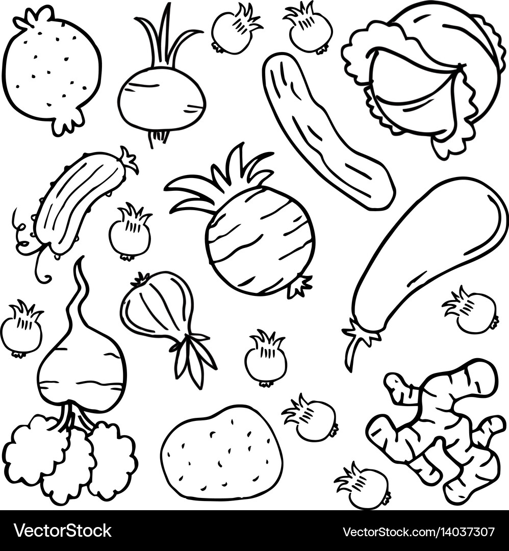 Doodle of vegetable style collection Royalty Free Vector